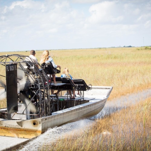 Everglades Airboat Rides, Airboat Tours, Gator Shows