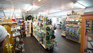 Everglades Airboat Rides, Airboat Tours, Gator Shows